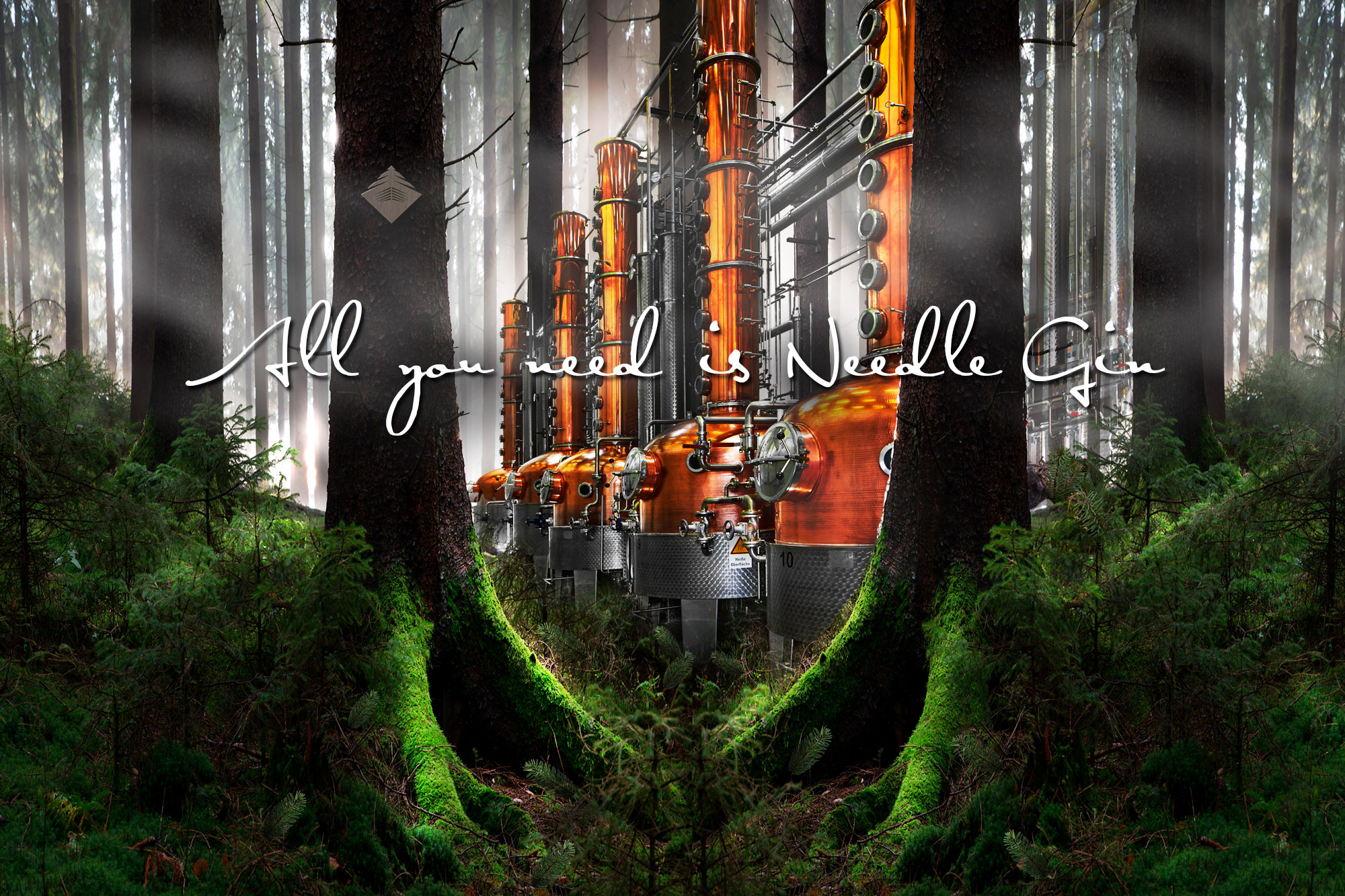 Needle Gin - der Fichtennadel Gin aus dem Schwarzwald.
